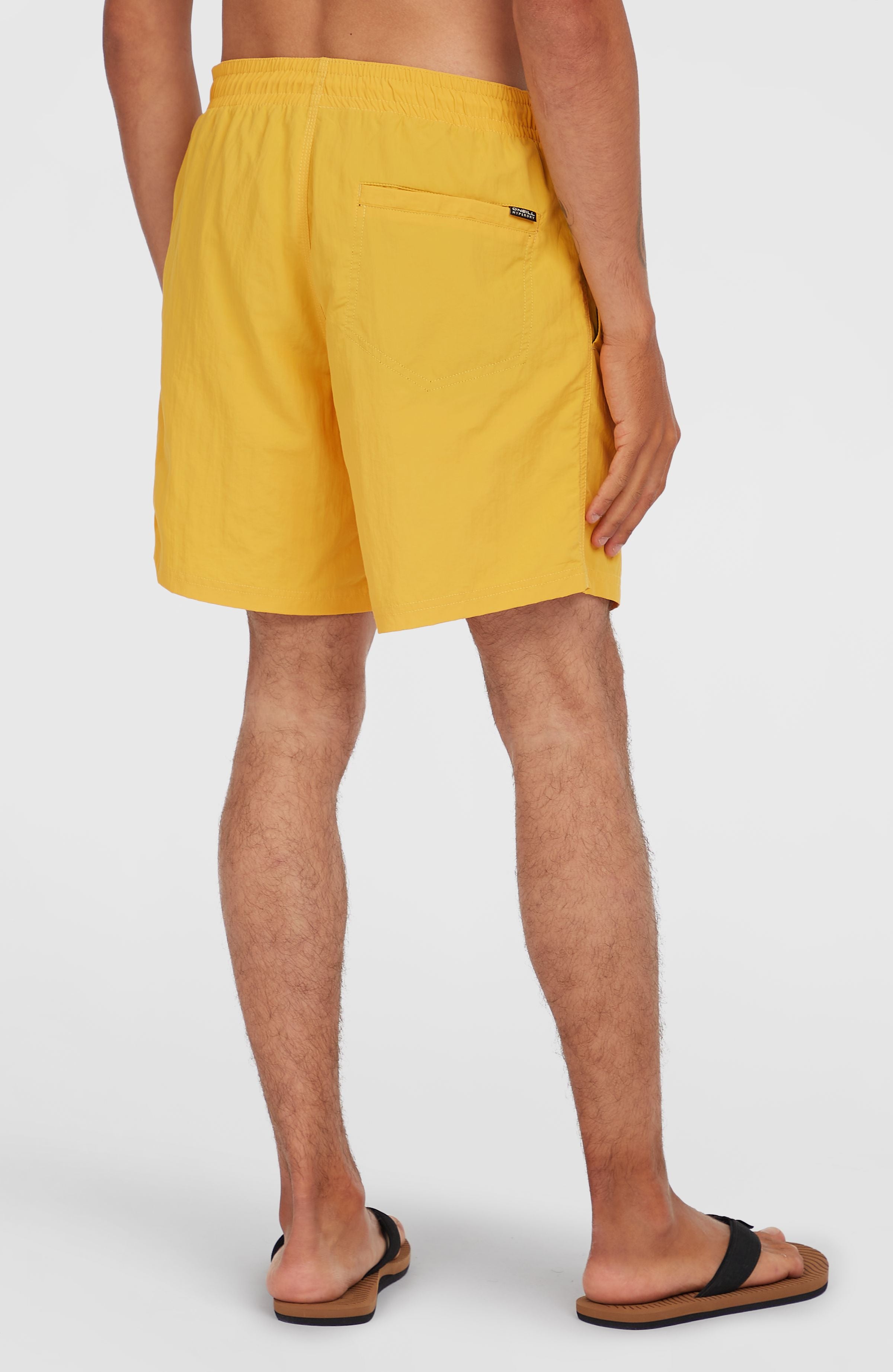 O’Neill Vert 16'' Swim Shorts | Golden Haze – O'Neill UK