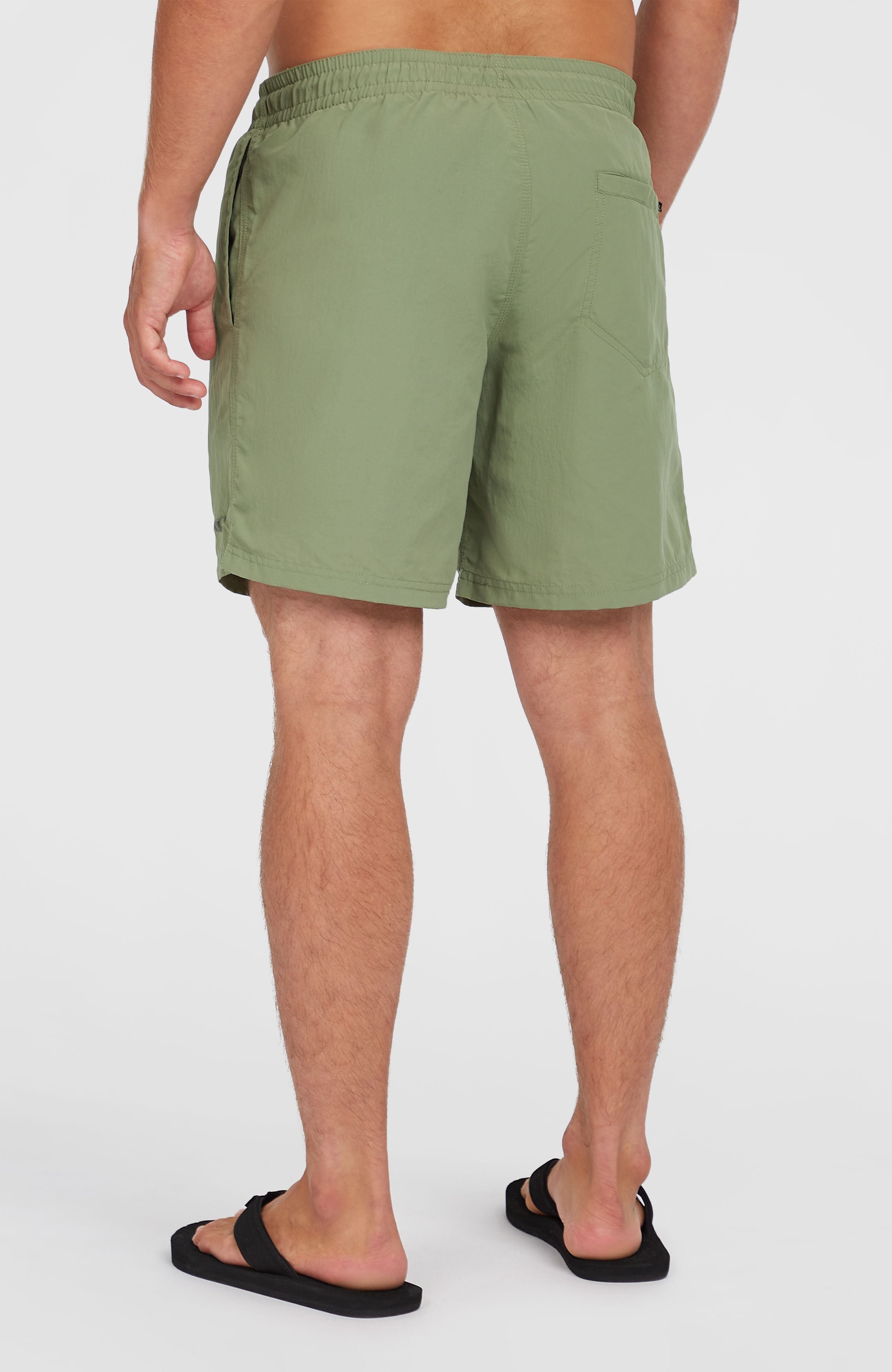 O’Neill Vert 16'' Swim Shorts | Avery Fern – O'Neill UK