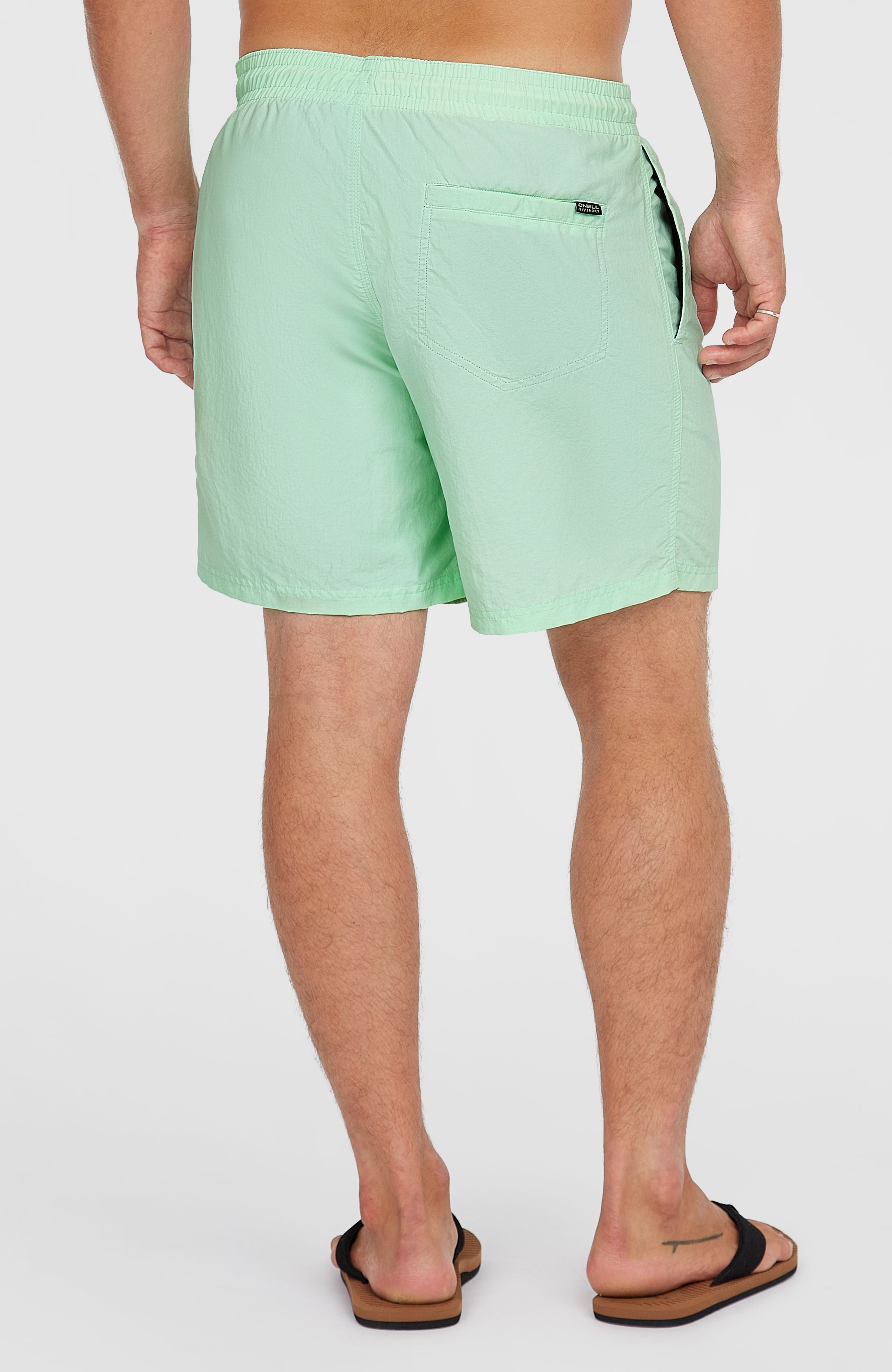 O’Neill Vert 16'' Swim Shorts | Mildrew Mint – O'Neill UK