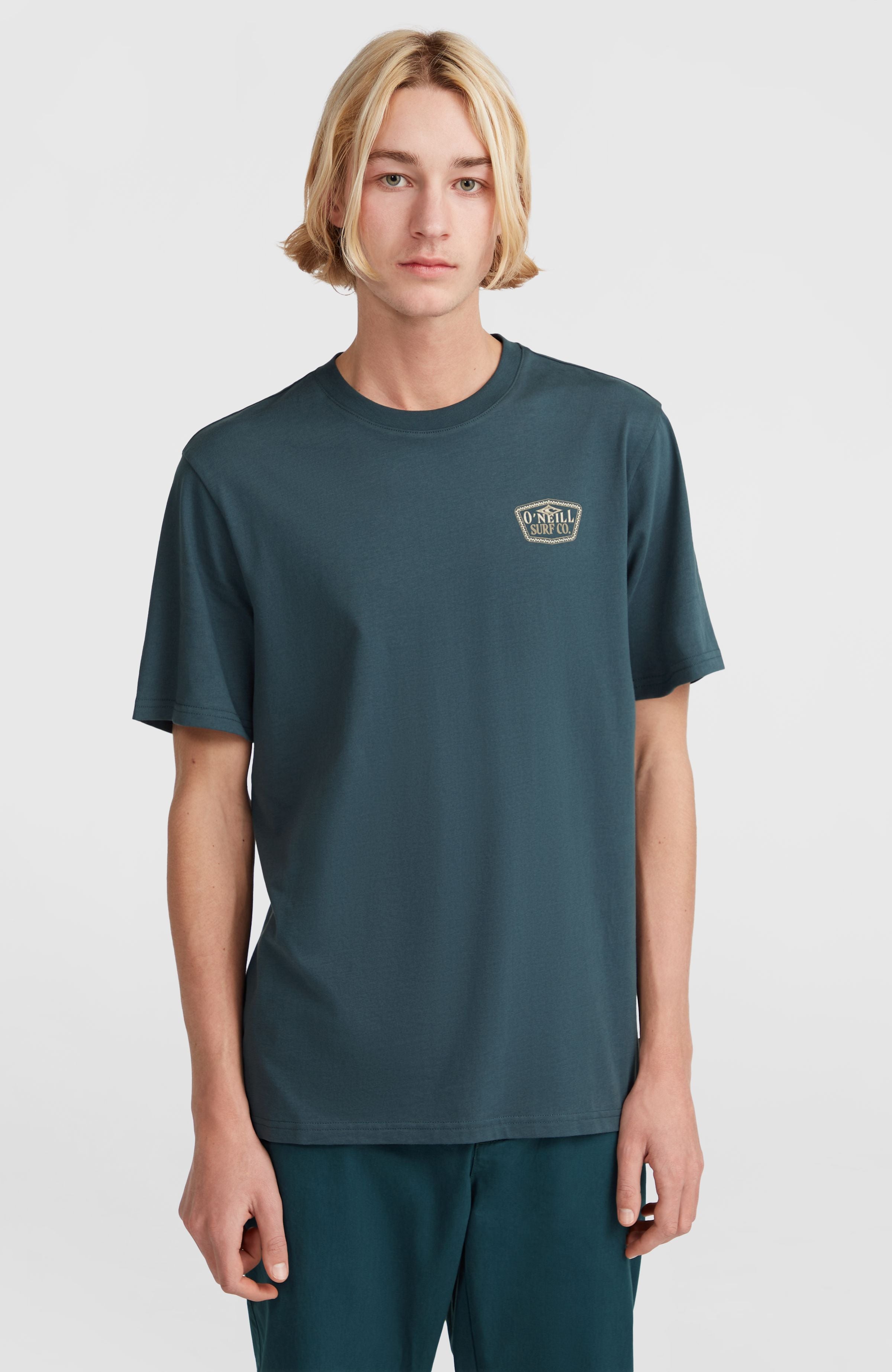 Small Chest Print T-Shirt | Alma Steel – O'Neill UK