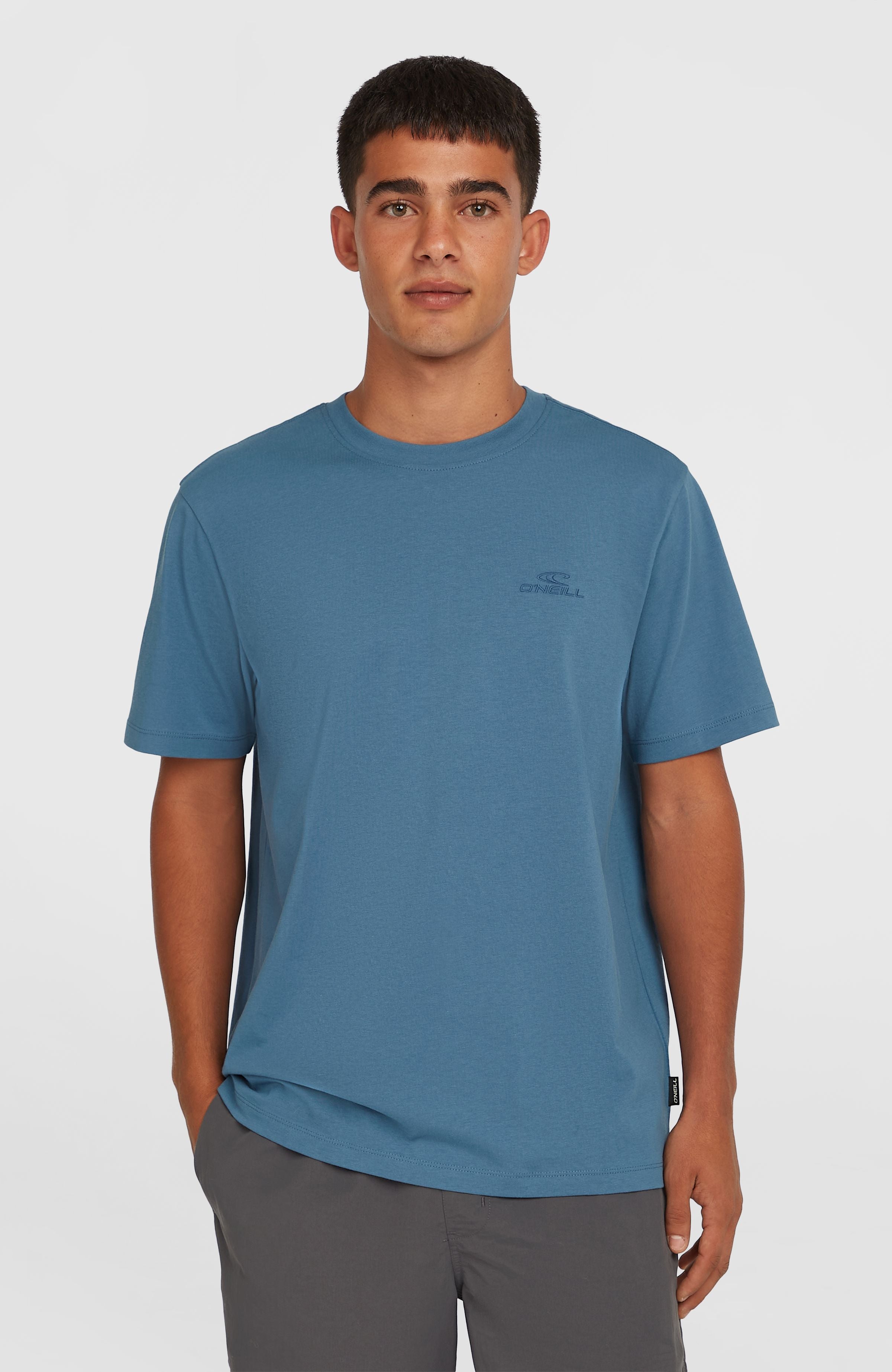 Small Logo T-Shirt | Copen Blue – O'Neill UK
