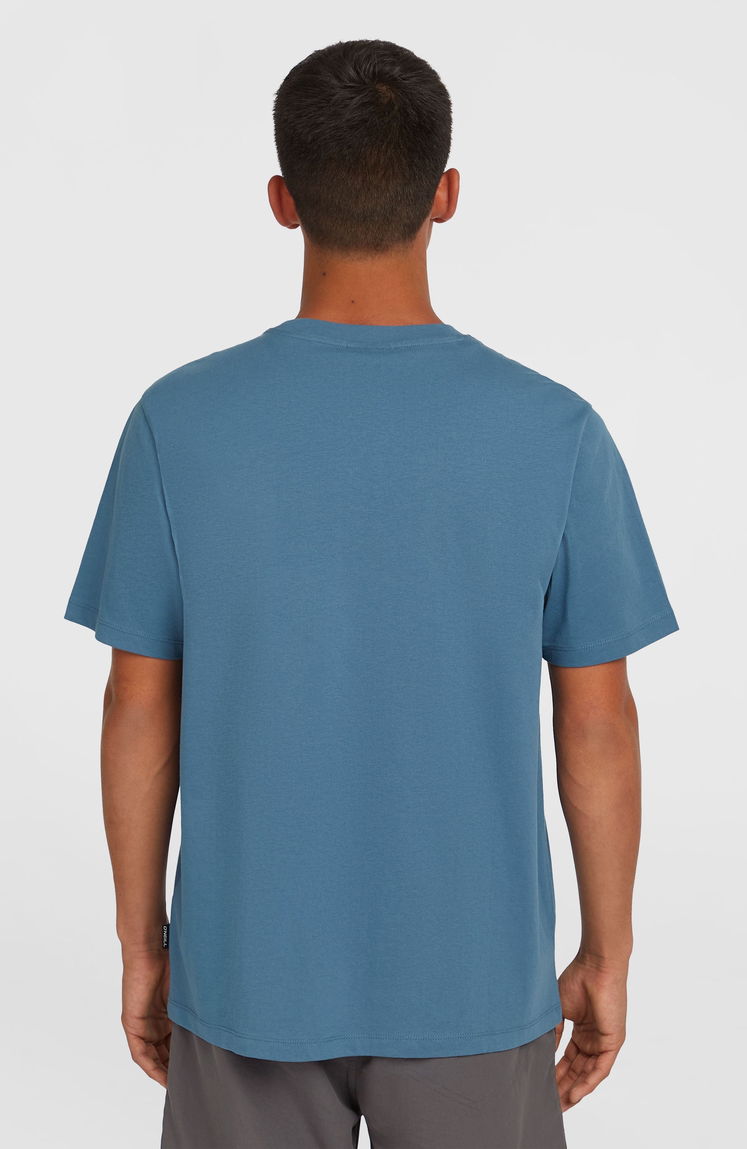 Small Logo T-Shirt | Copen Blue – O'Neill UK