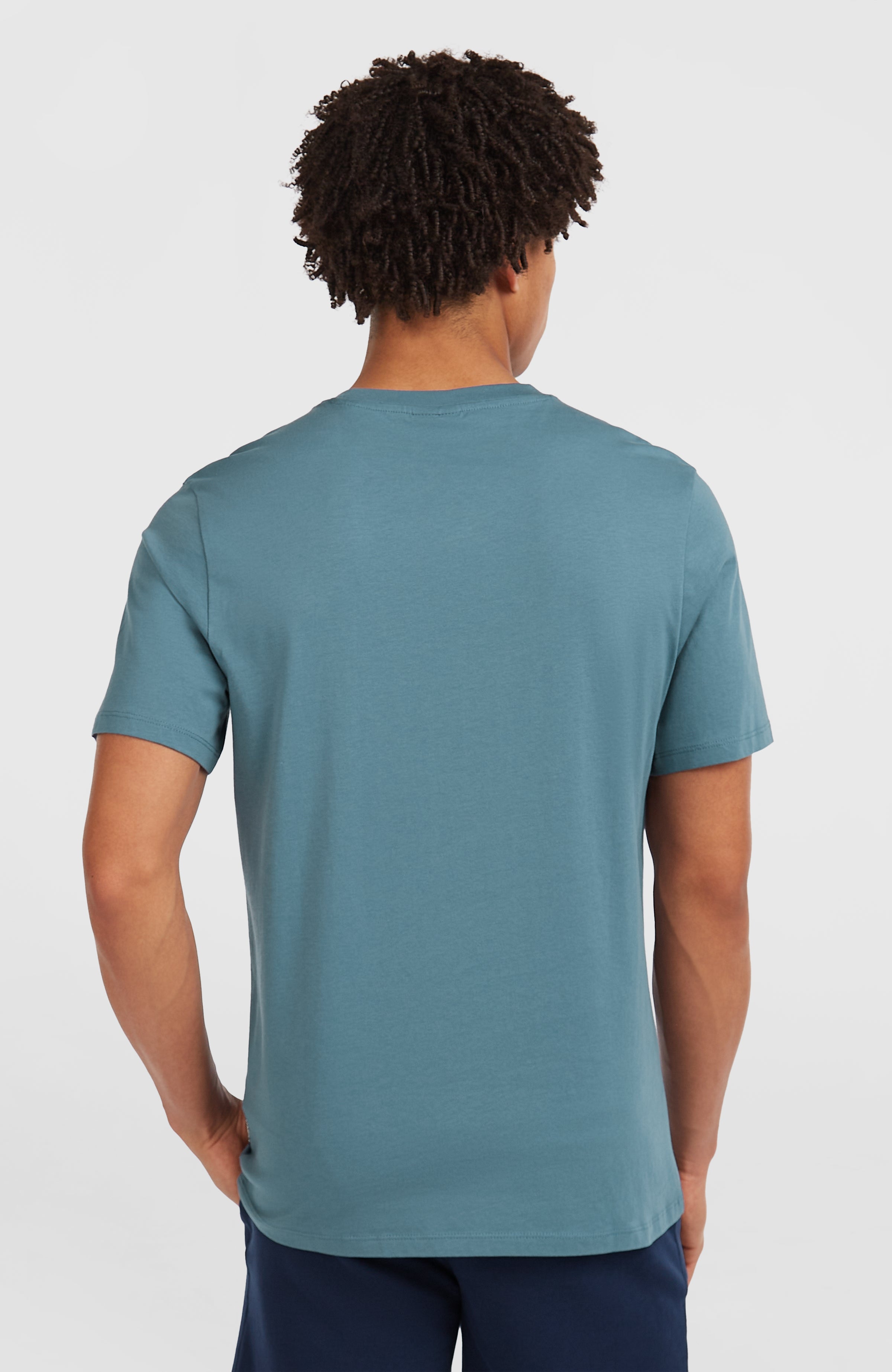 Small Logo T-Shirt | Mozart Blue – O'Neill UK