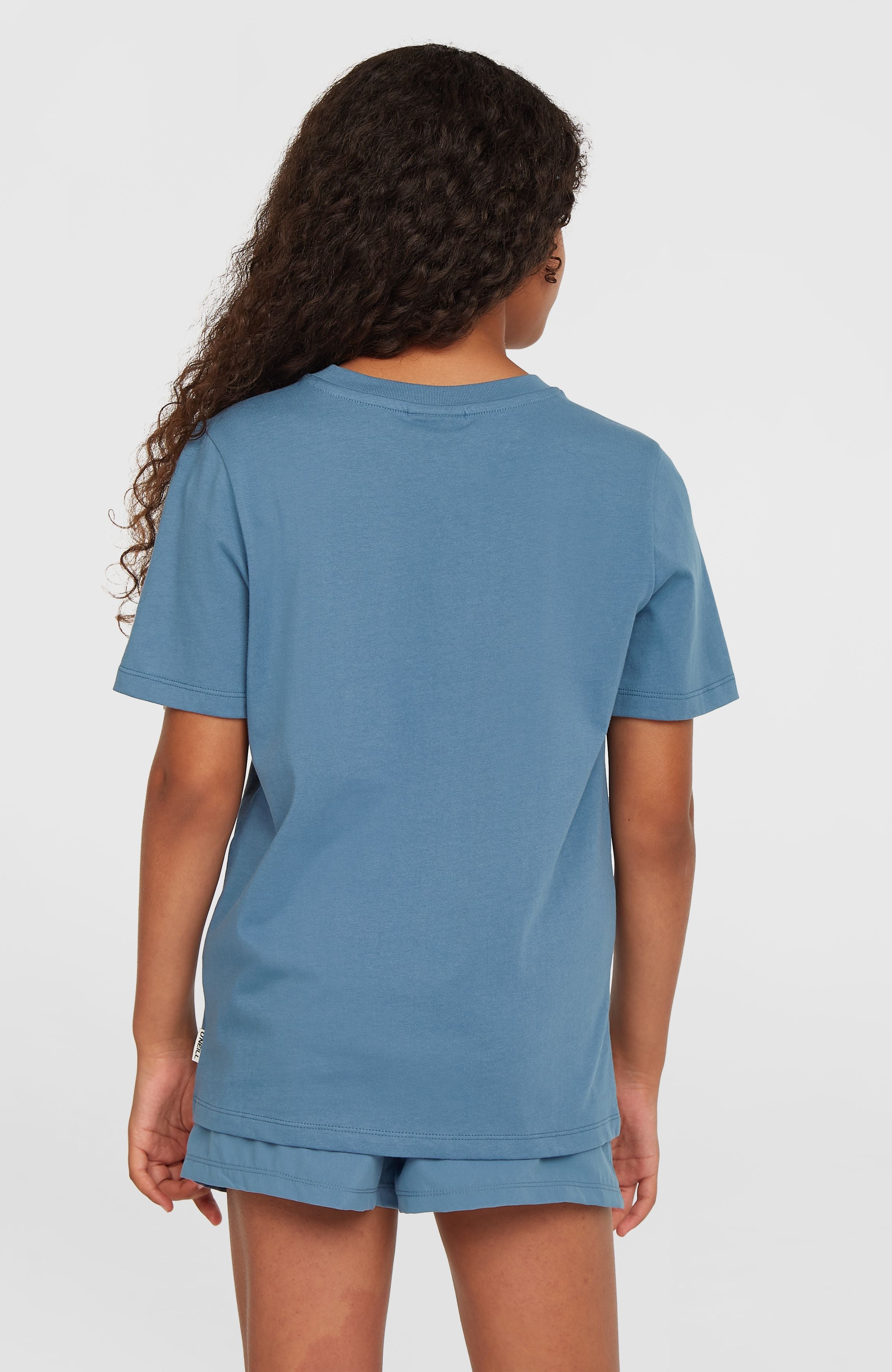 Script T-Shirt | Copen Blue – O'Neill UK