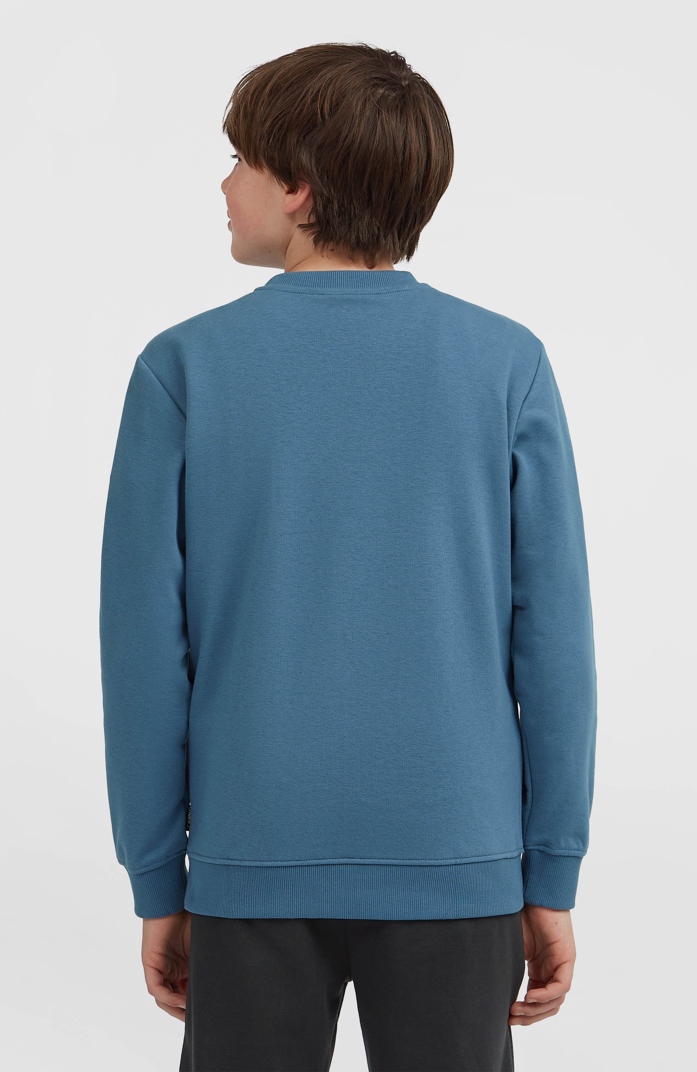 Essentials Crew Sweatshirt | Mozart Blue – O'Neill UK